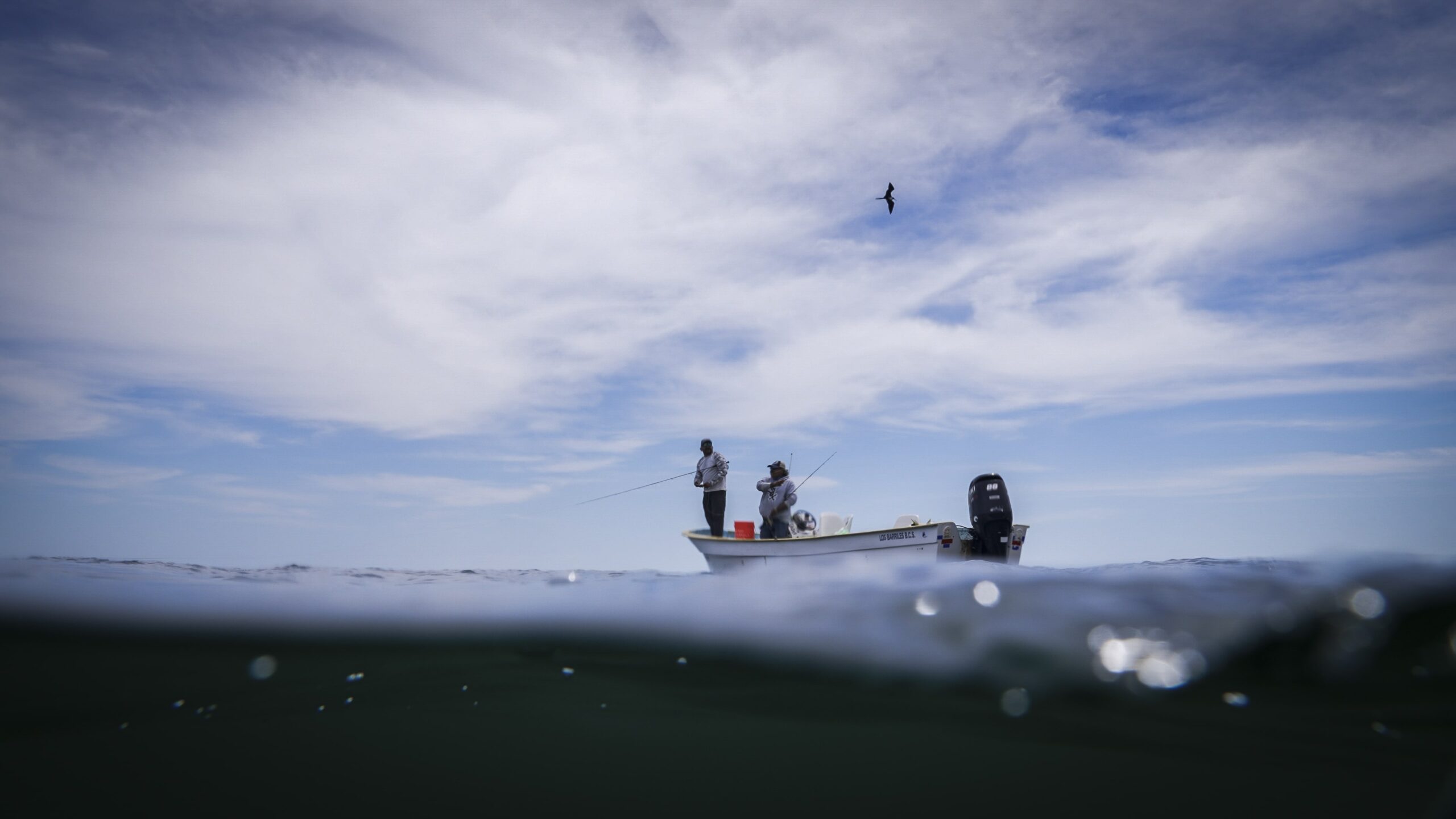 Bitter Water - Fly Fishing Film Tour